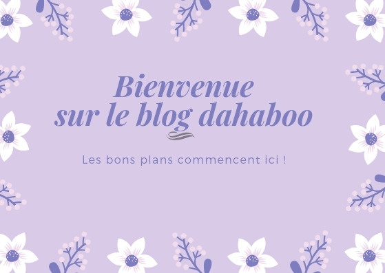 Bienvenue sur le nouveau blog dahaboo – dahaboo